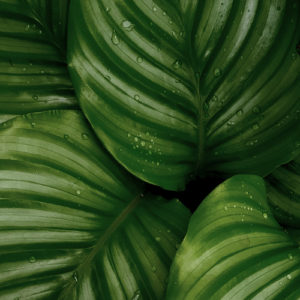 Membership - Why PIMFA? - PIMFA